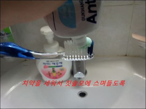 알려지지 않은 올바른 양치방법과 치약짜는법 네이버 블로그
