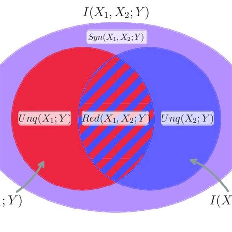 Partial Information Decomposition For Two Predictor Variables And A