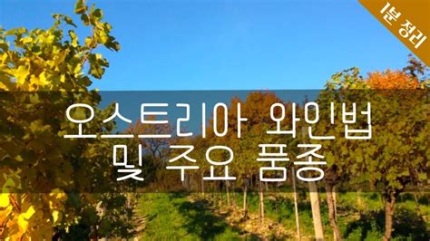 오스트리아 와인법 및 주요 품종 와인 생산 지역 이야기 와인 기초 와인공부 1분 정리 Youtube