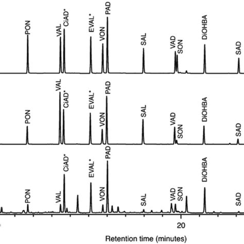Selected Chromatograms Of A A 40 Pmolμl Standard Mixture B Peat