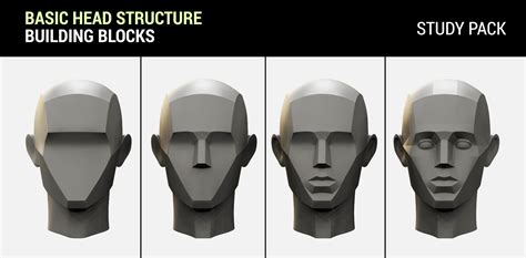 Basic Head Structure Building Blocks 3d Model