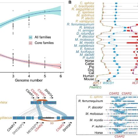 Evolution Of Gene Families A Increasing Trend Of All Gene Families Download Scientific