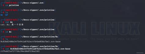 Svn泄露（ctfhub）svn代码泄漏 Csdn博客