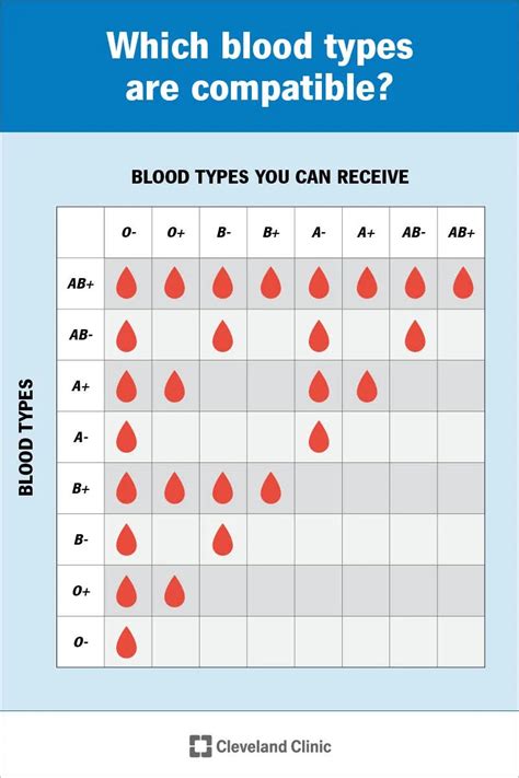 Rh Null Uncovering The Secrets Of Golden Blood IBD Aware Org