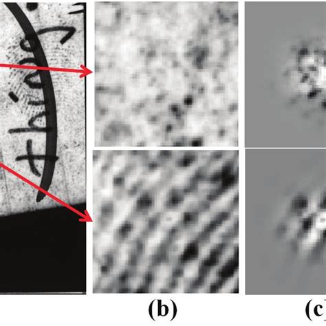 Estimation Of Ridge Frequency By Local Fourier Analysis A Original Download Scientific