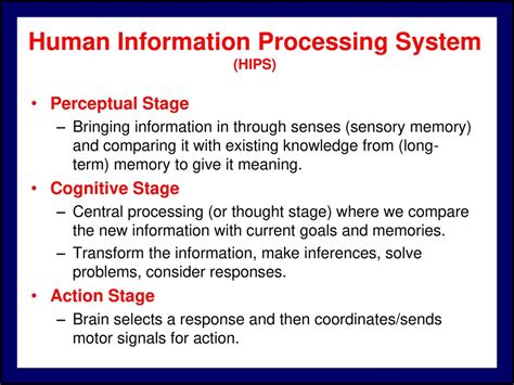 Cognition Ppt Download