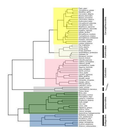 Plot Of Chunk Post Ggtree Clades