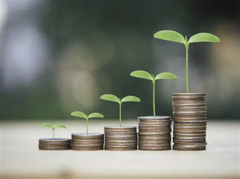 Best Mid Cap Funds In 3 Years 5 Schemes With Up To 35 Returns Best