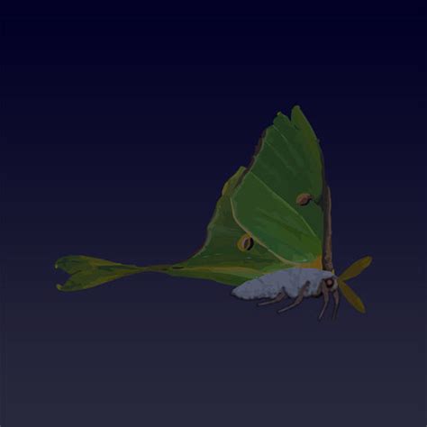 Forest Flutter For Ios Iphoneipad Latest Version At 099 On Apppure