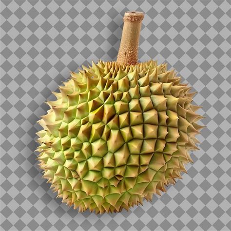 Page 45 Small Durian Images Free Download On Freepik