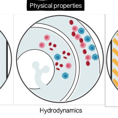 4 Ctc Enrichment Technologies Based On Their Physical Properties
