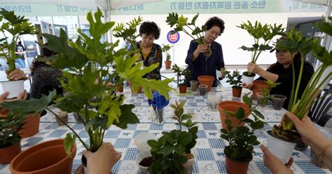화분 정원 만들어요