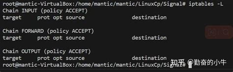 【iptables】彻底拿下 硬核学习 知乎