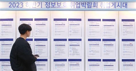 지난해 대학졸업자 취업률 696지난 2011년 이후 최고