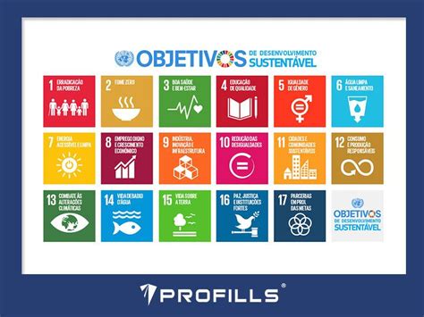 Objetivos Do Desenvolvimento Sustentável