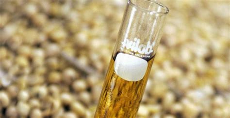 Be8 Prevê Investir R 80 Milhões Para Produzir Novo Biocombustível