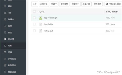Jfinal 框架 Jar包部署到服务器全流程（通用spring Boot等）jfinal 打jar包 Csdn博客