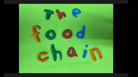 The Food Chain Youtube