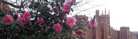 Admin Dipsa Data Intensive Parallel Systems And Algorithms