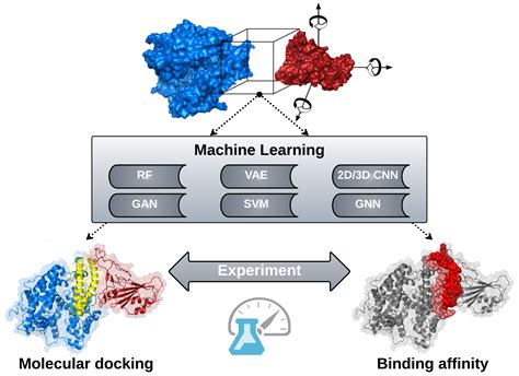 Protein Function Analysis Through Machine Learning