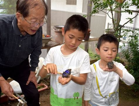 両丹日日新聞オオムラサキ大好き少年 盛岡から大地さん訪問 ニュース