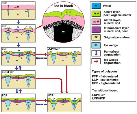 Formation Of Low Centered Ice Wedge Polygons And Their Orthogonal