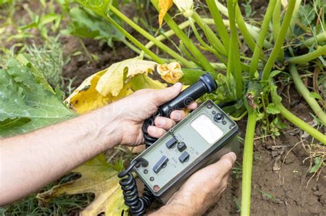 Measurement Of Radioactivity Concentration Levels In Vegetables Stock Image Image Of Counter