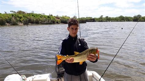 Hay abundante pesca de doradillos en río Santiago Solo Pesca Deportiva