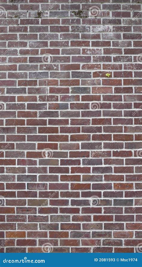 16x9 Brick Wall Background 10mp Stock Image Image Of Abandoned