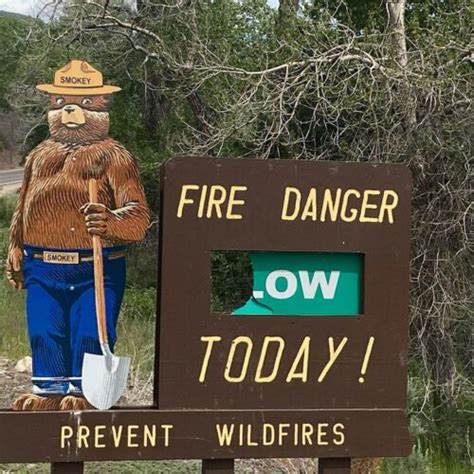 SNAPPED Anonymous Citizen Replaces Stolen Smokey Bear Sign With Winnie