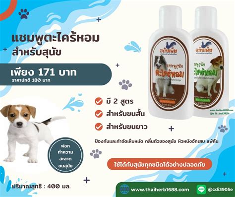 อภัยภูเบศร 🌿แชมพูสุนัขตะไคร้หอม อภัยภูเบศร😀 🔘 Facebook