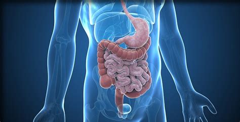 Ileo What Is It Causes Risk Factors Symptoms And Treatment Scope Heal