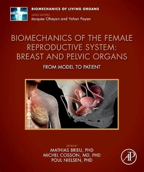 Biomechanics of the Female Reproductive System: Breast and Pelvic Organs: From Model to Patient ...