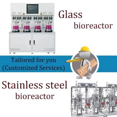 Stainless Steel Fermente Bioreactor Tissue Culture Bioreactor Fermenter Solid State Fermentation
