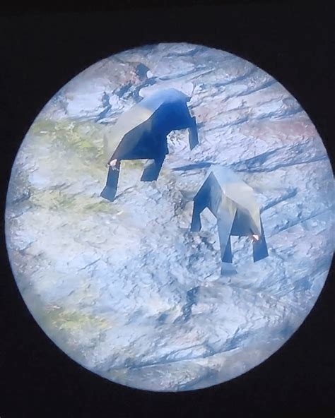 Ah Yes The Beauty Of Playing Ark On Switch 🤣 Rark
