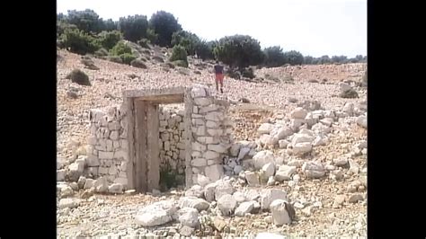 Clipuri Video Porno gratuite Sex sălbatic xHamster