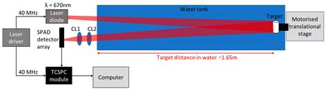 Custom Technology Single Photon Avalanche Diode Linear Detector Array