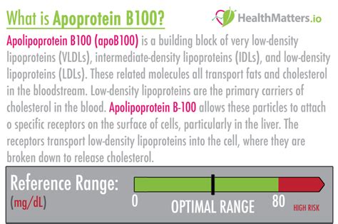What Is Apob 100 High And Low Values Lab Results Explained