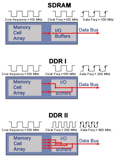 Ddr Ii Global Study