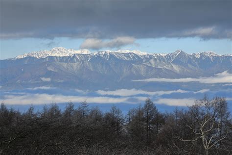 信州長野県中央の自然野鳥山野草風景 高ボッチ
