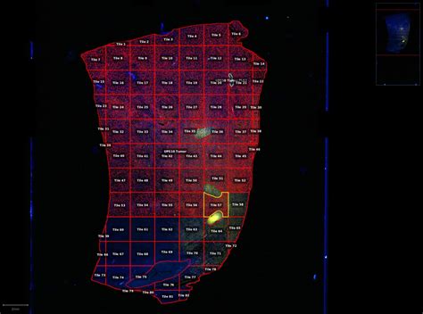 automated scripted to run cell segmentation by tiles image analysis