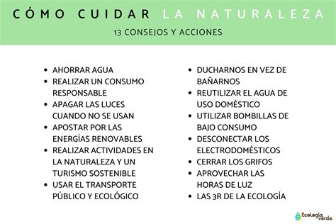 Cómo cuidar la naturaleza 13 consejos y acciones