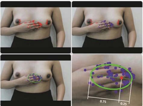 Hand Tracking Using Klt Feature Tracker See 8 Download Scientific