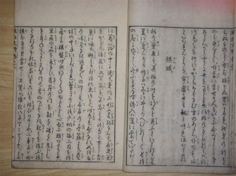 Yahooオークション 郡 江戸和本 大阪町人学者田中友水子著風狂文