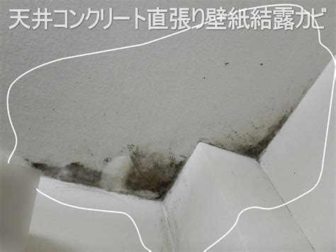 中古マンションカビ臭のする天井コンクリート直張り壁紙結露カビ ブログ 埼玉の防カビ工事なら「有限会社プレモ」