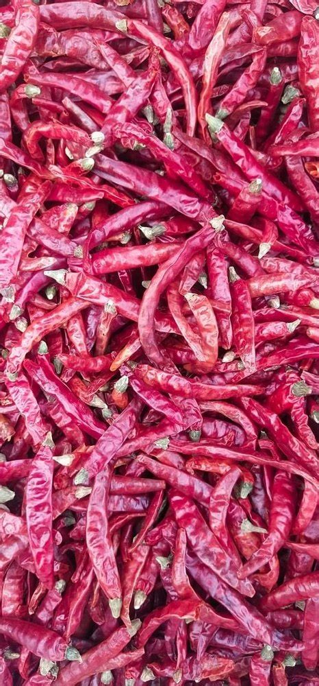 KDL Dry Red Chilli At Rs 310 Kg Dry Red Chili In Byadgi ID