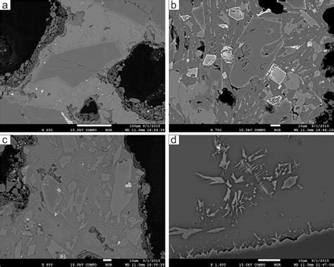 A Large P Poor Subhedral Olivine Embedded In Melt Vein B Melt Vein