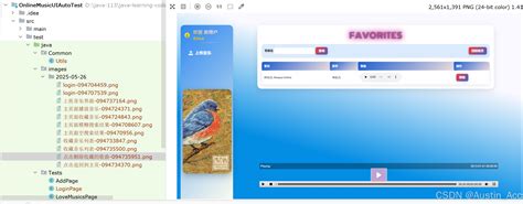 【java项目测试报告】：在线音乐平台（online Music） Csdn博客