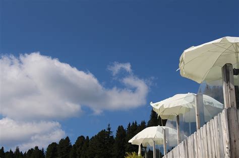 Biergarten Sommer Urlaub Kostenloses Foto Auf Pixabay Pixabay