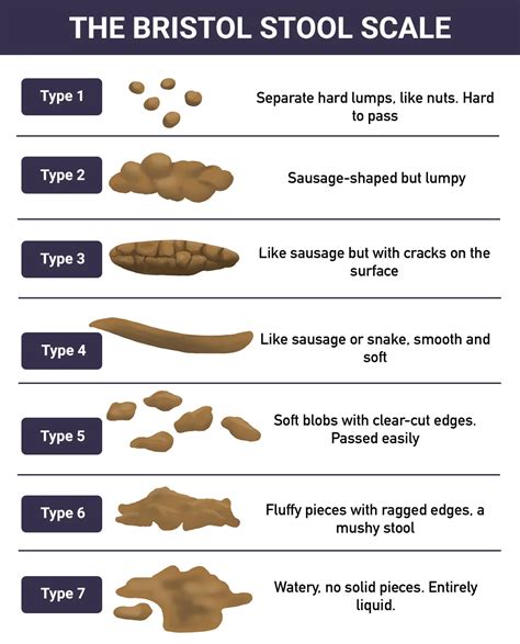 Bristol Stool Chart Explanation Learn Even More About Your Poop With